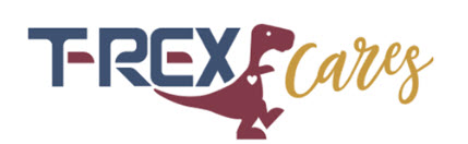 Case Study: T-Rex Solutions - 3WaysDigital